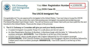 Alien Registration Number (ARN): What It Is and Why It Matters - Visa ...